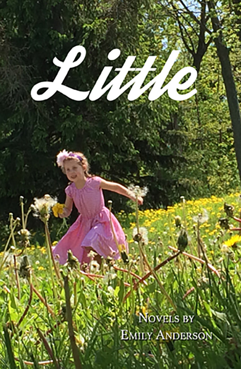 Review: Little Novels by Emily Anderson