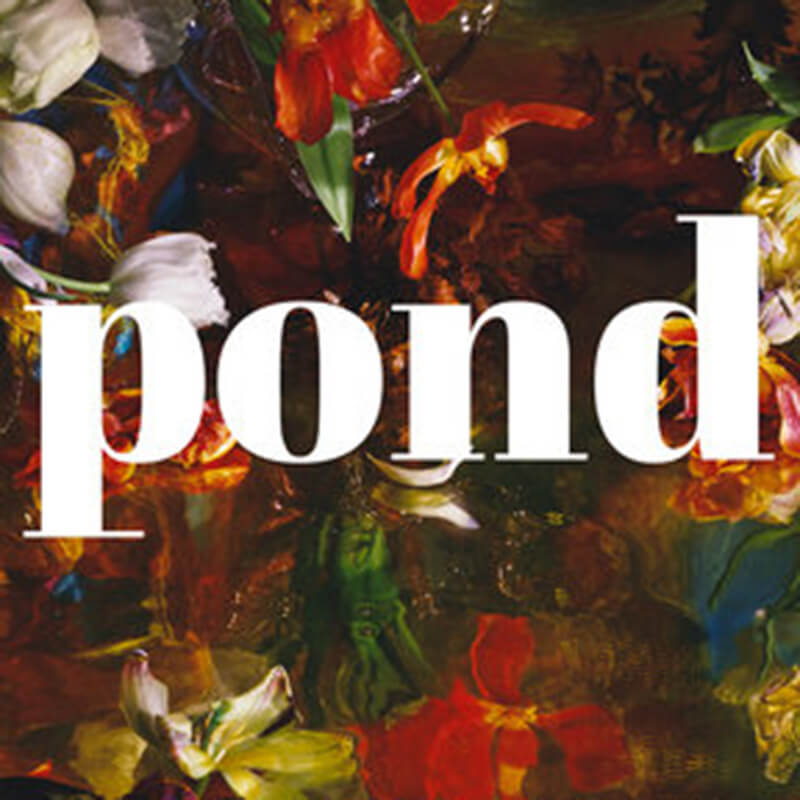Review: Pond by Claire-Louise Bennett