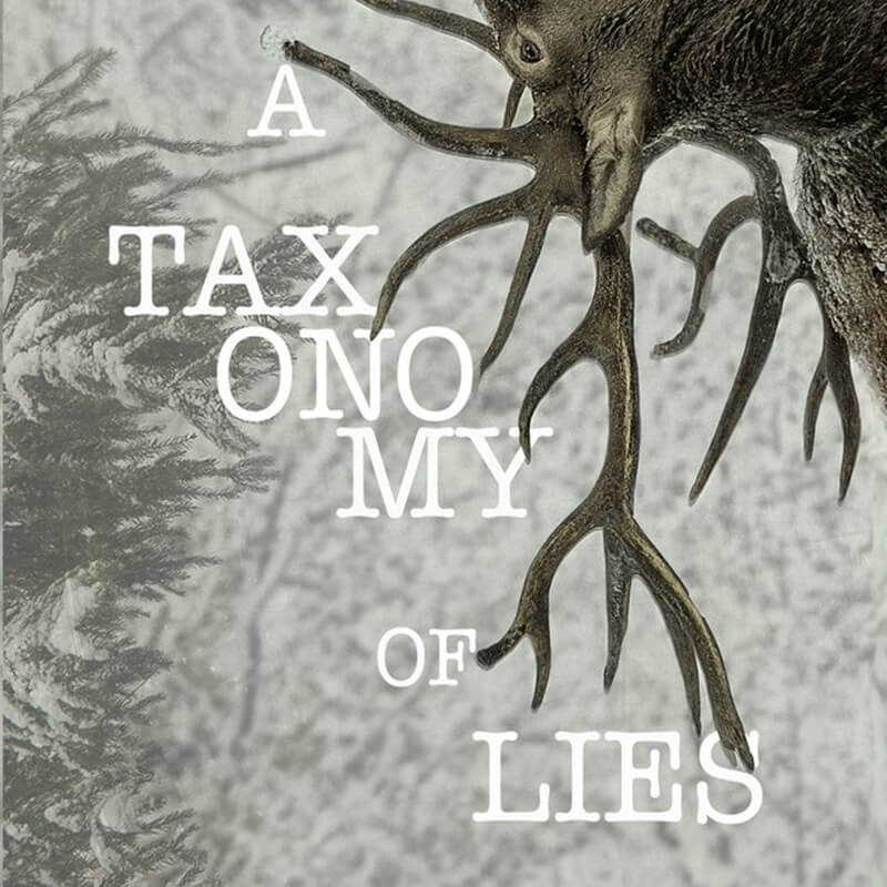 Review: Earth Angel by Madeline Cash • Your Impossible Voice